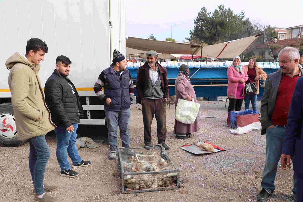 Tirit sezonuyla birlikte Havza'da kaz satışları başladı - SAMSUN HABER ...